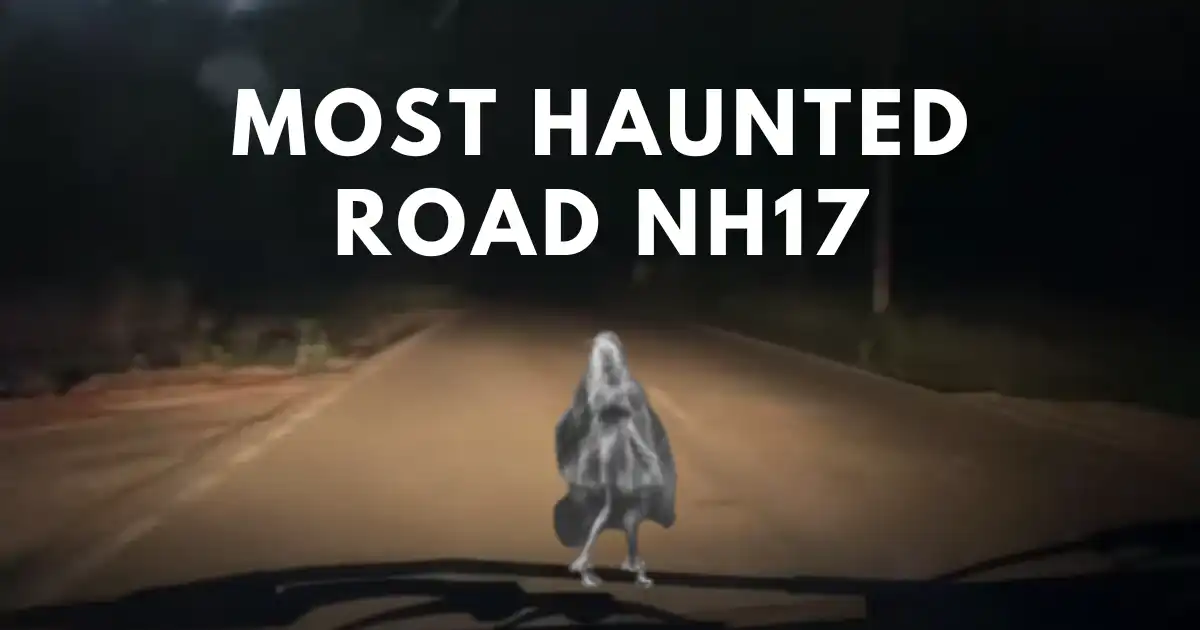 Most Haunted Road NH17 | Witches Running Behind Non-Veg Food
